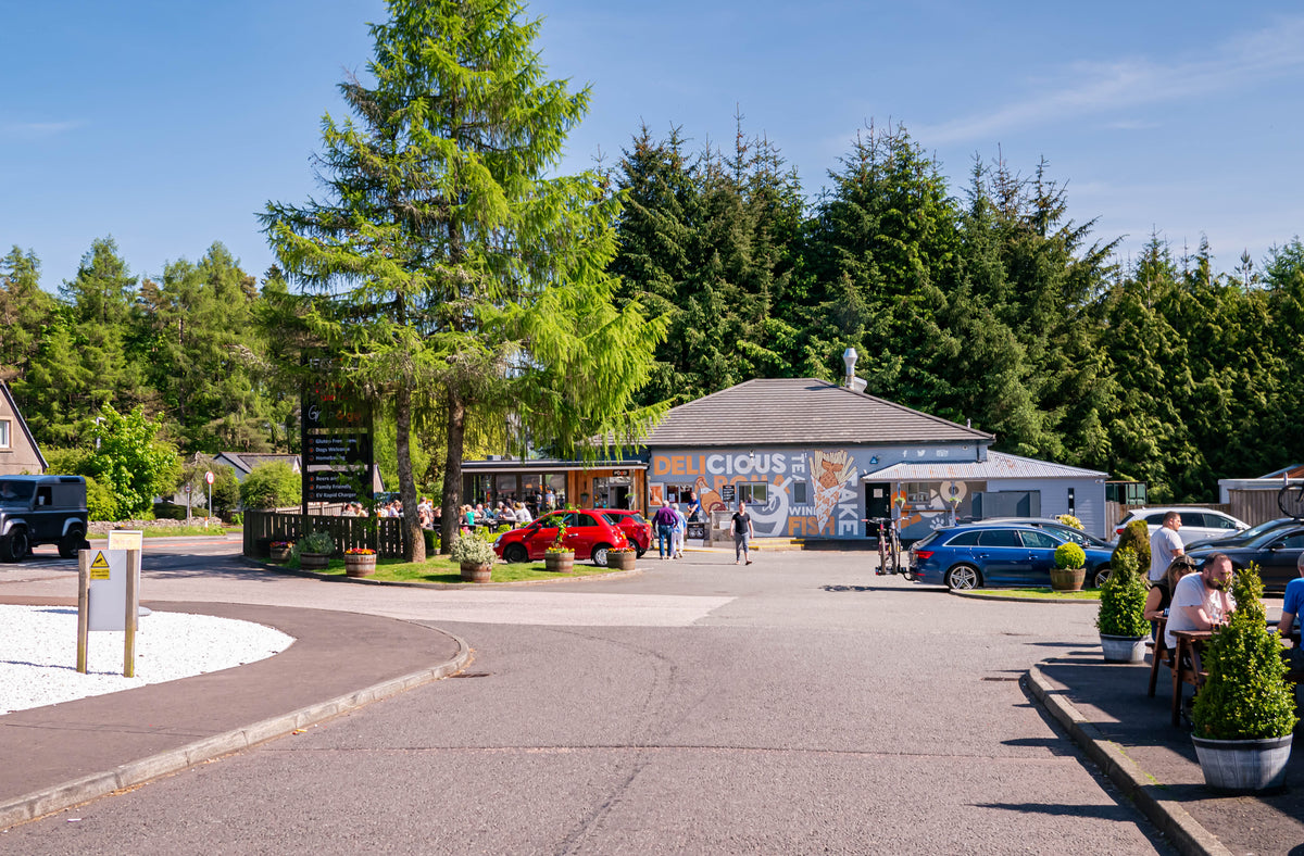 The Real Food Café named in the UK’s Top 30 Best Places to Work in Hos ...